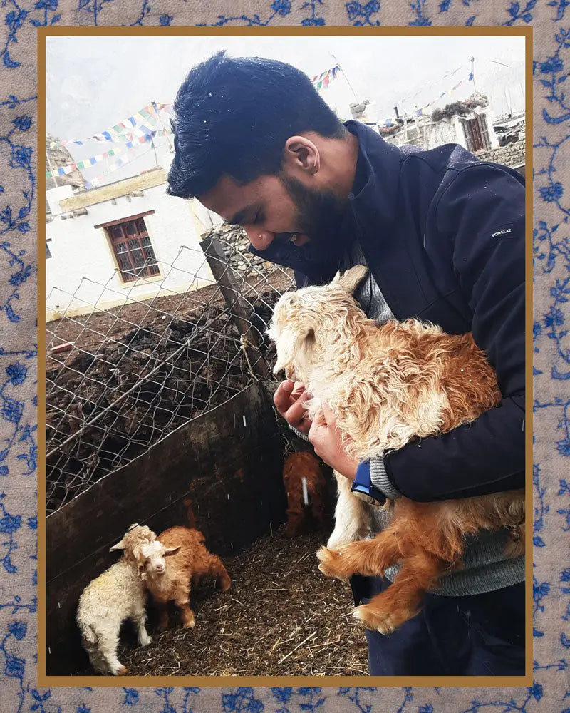 What is 100% pashmina made of - Shahkaar